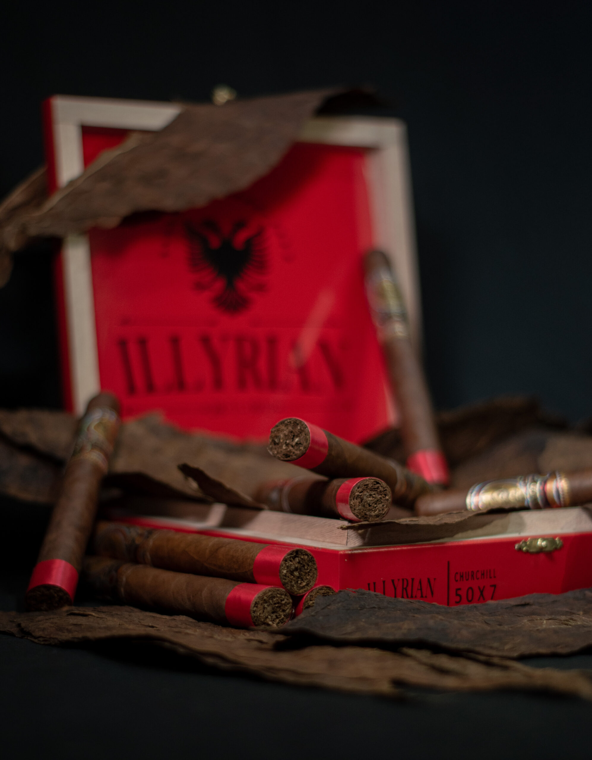 Premium Cigars